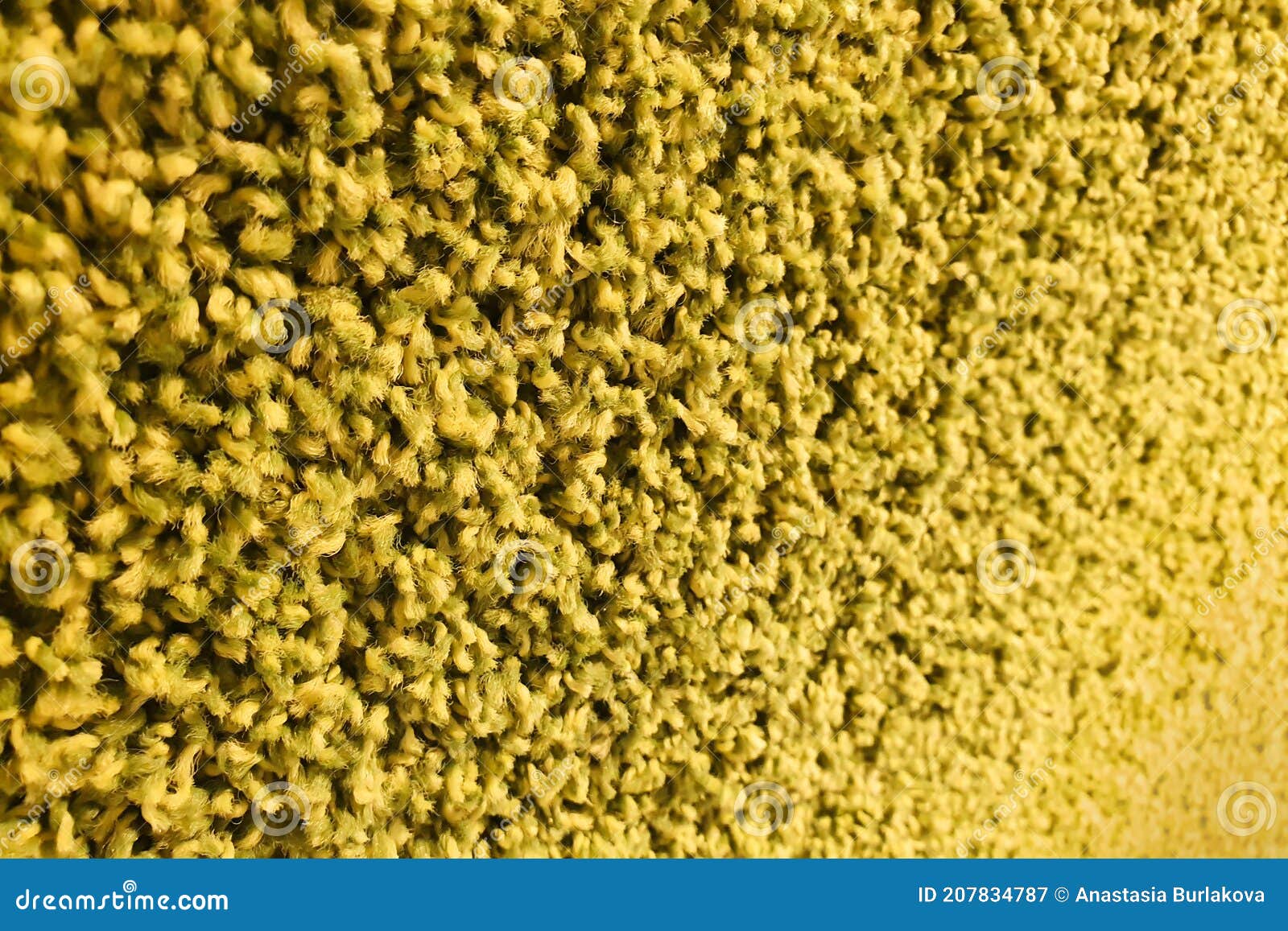 Green Carpet Roll Covering. Polypropylene Long Pile Carpet Texture ...