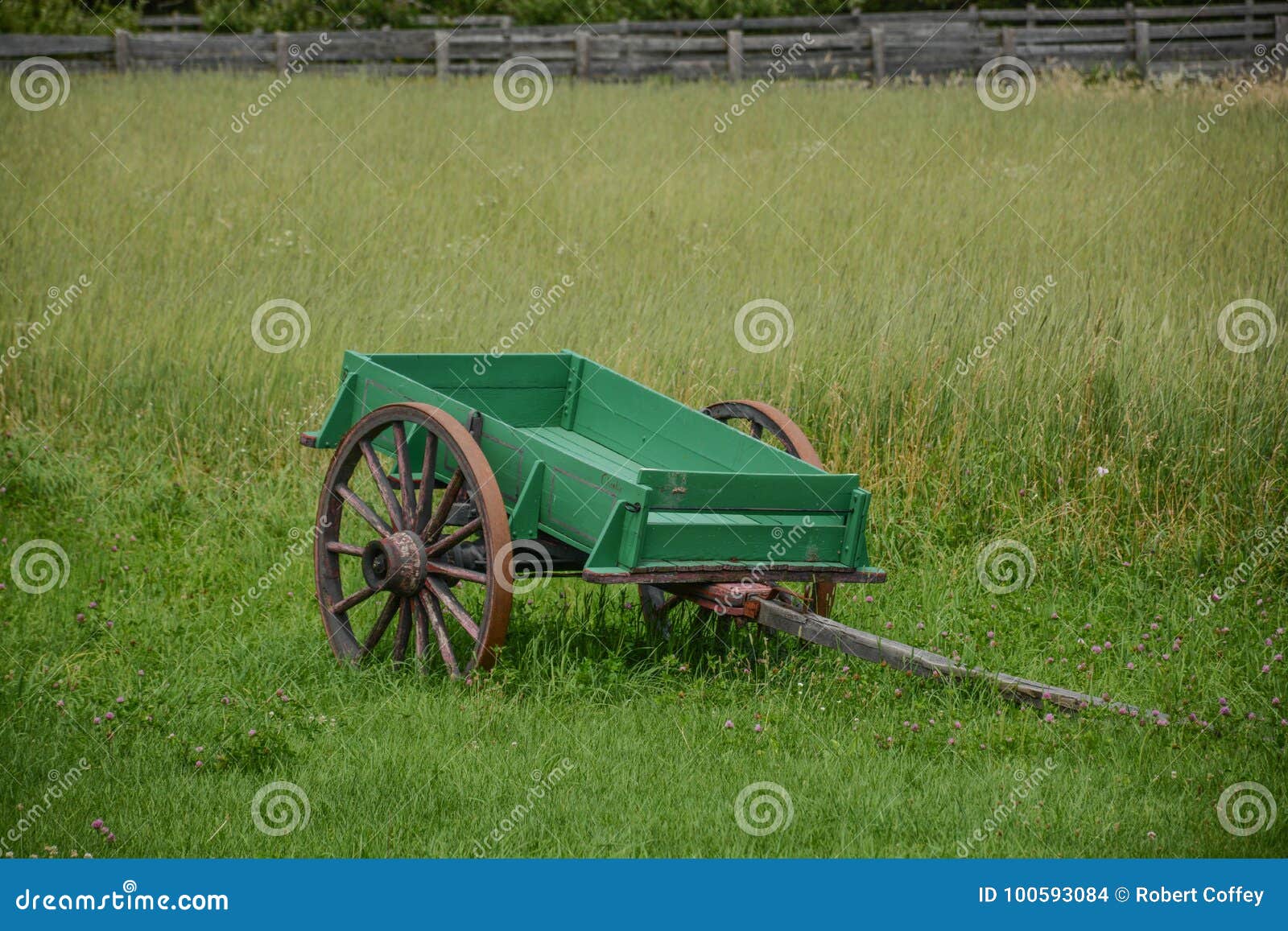 Green Cart stock photo. Image of field, wooden, farm - 100593084