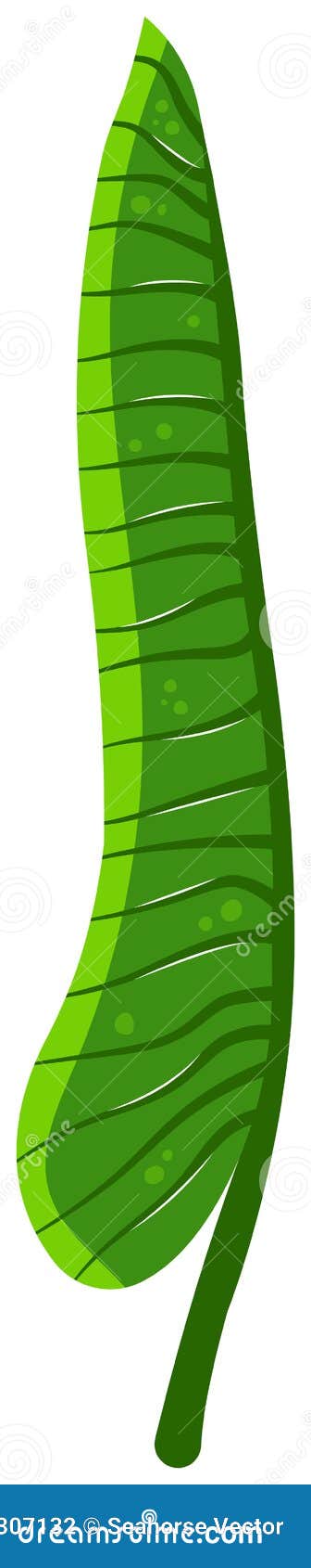 Green Cartoon Leaf with Dew Drops. Nature and Spring Themed Vector ...