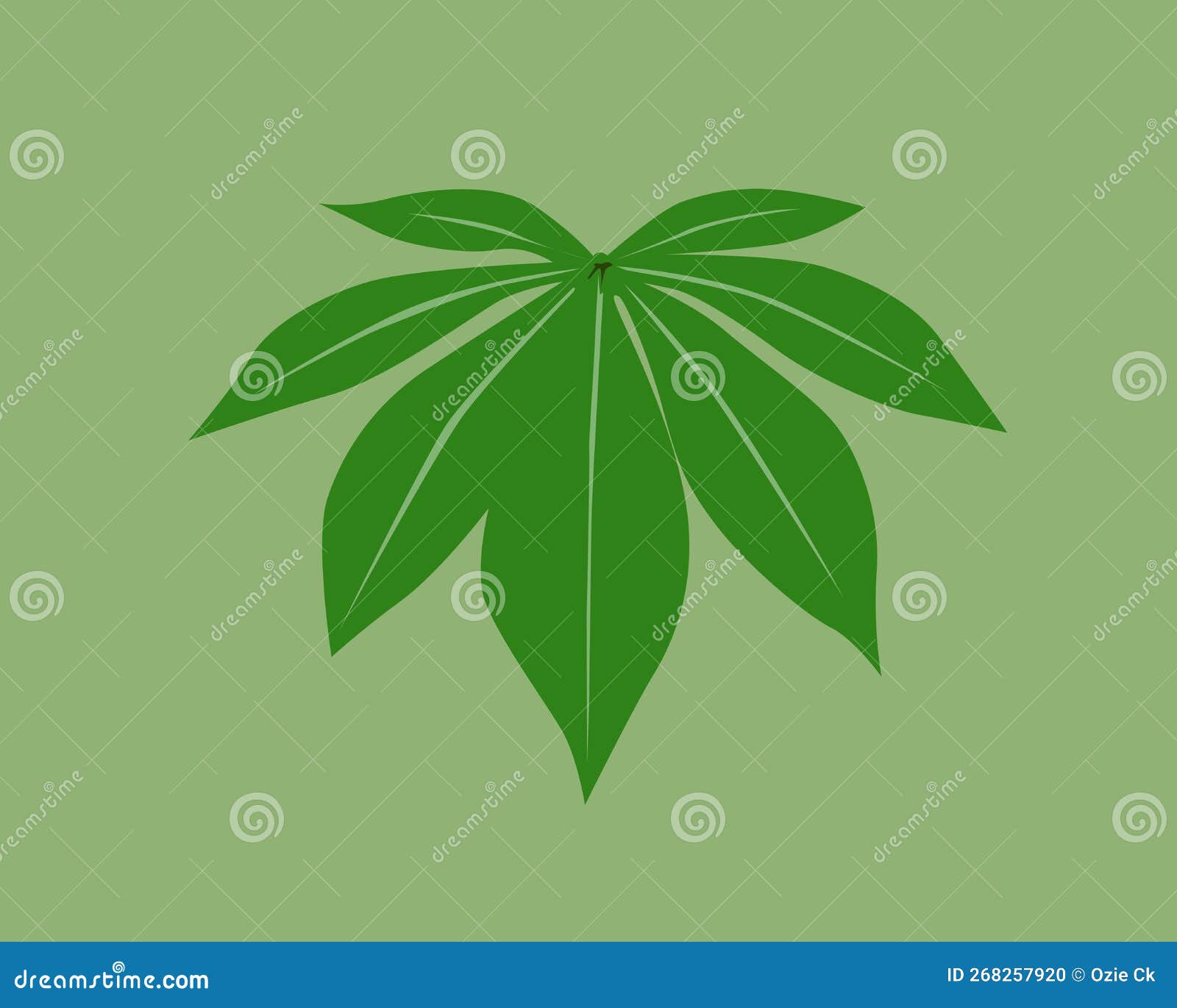 Green Cassava Leaves Decorated With Water Splashes Vector Illustration ...