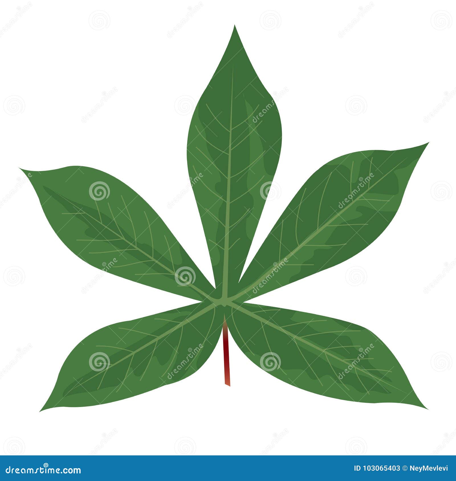 Green cassava leaves stock vector. Illustration of farm - 103065403