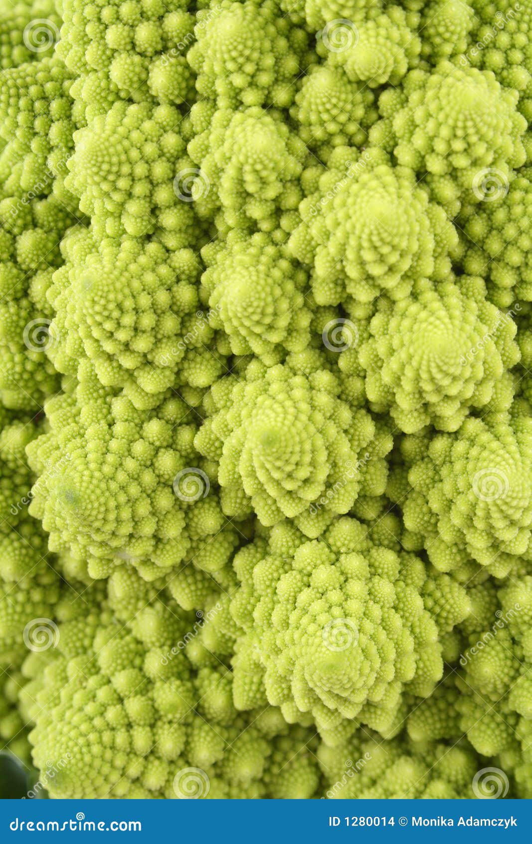 Green cauliflower stock photo. Image of foods, abstract - 1280014