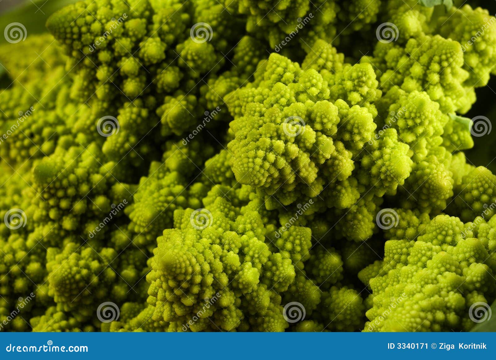 Green cauliflower stock image. Image of natural, vegetable - 3340171