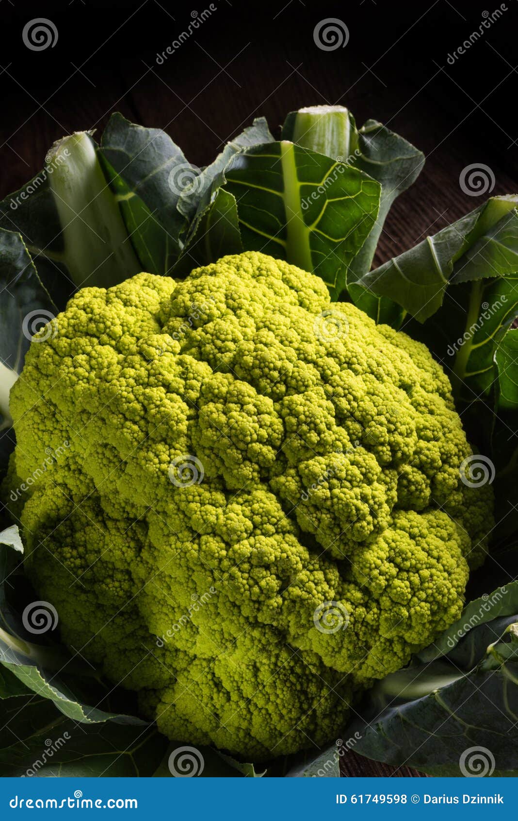 Green cauliflower stock photo. Image of healthy, food - 61749598