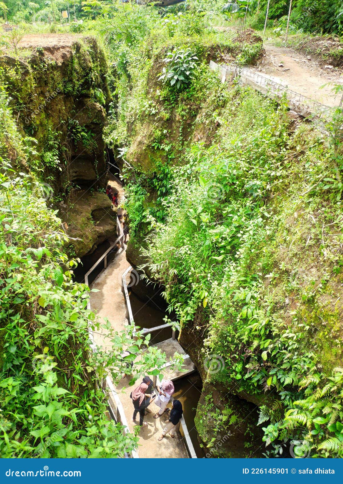 Green cave plants grass stock image. Image of nature - 226145901