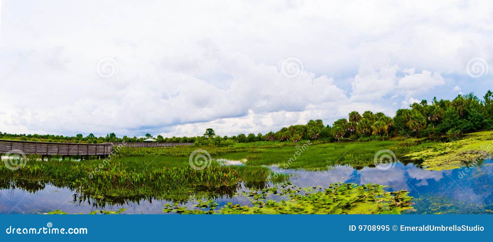Green Cay Wetlands Panorama Stock Image - Image of nature, everglades ...