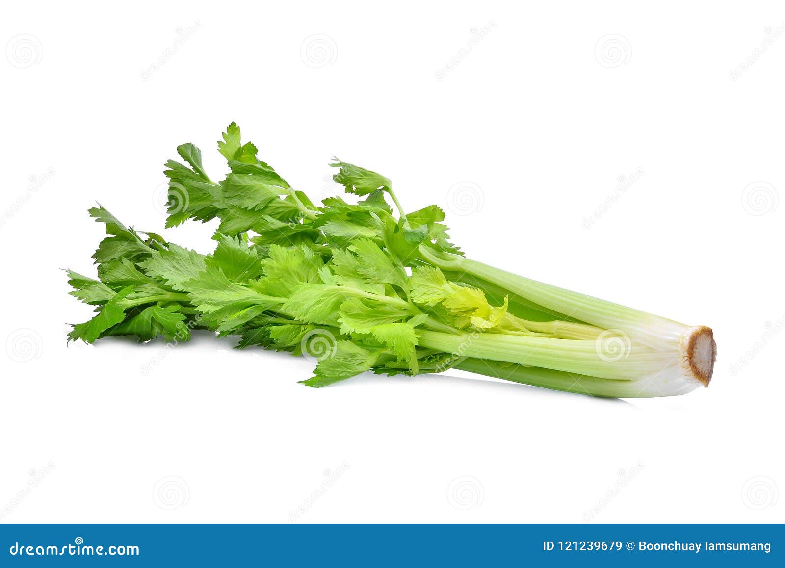 Green Celery Vegetable Isolated on White Stock Image - Image of fresh ...