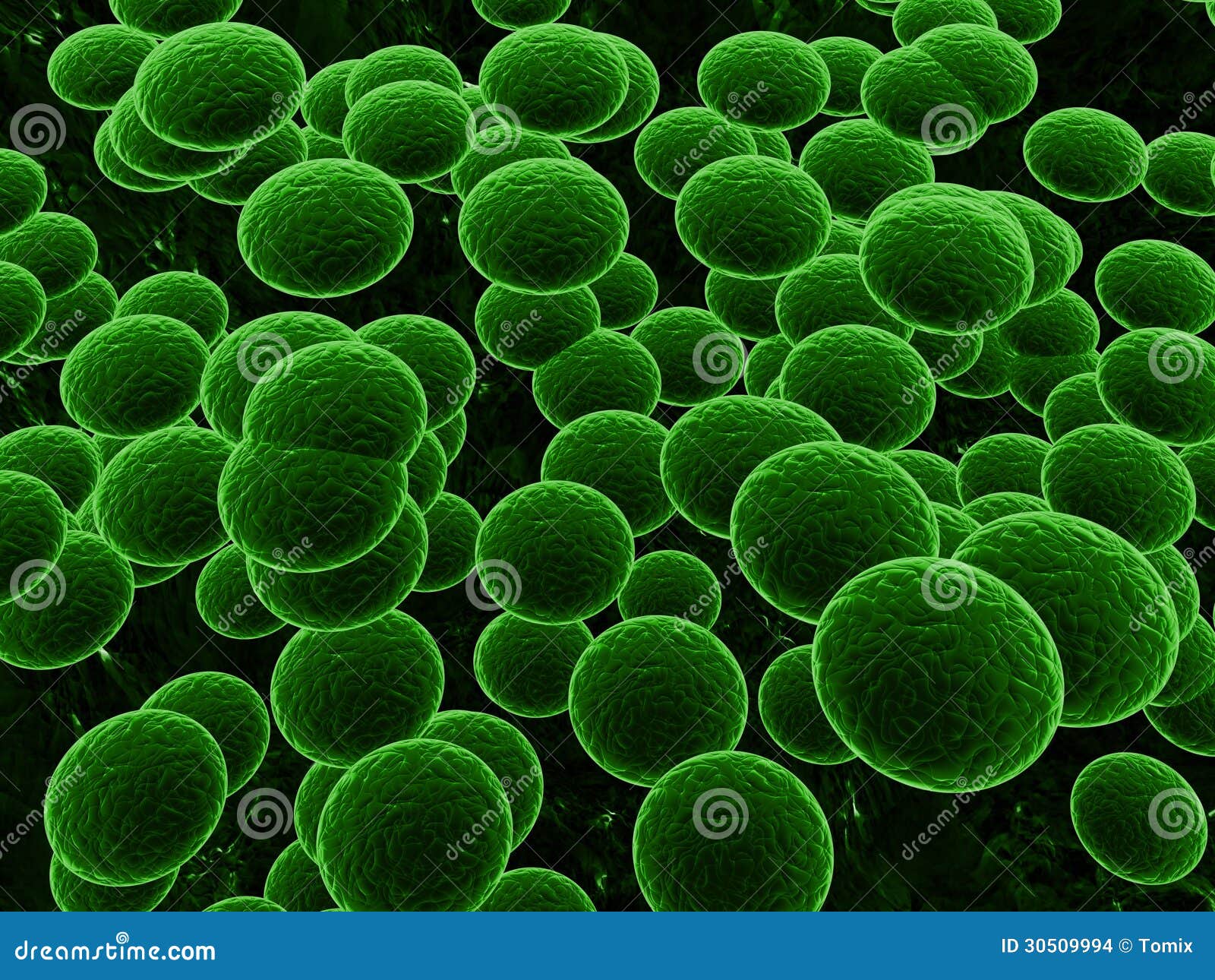 Green cells stock illustration. Illustration of illness - 30509994