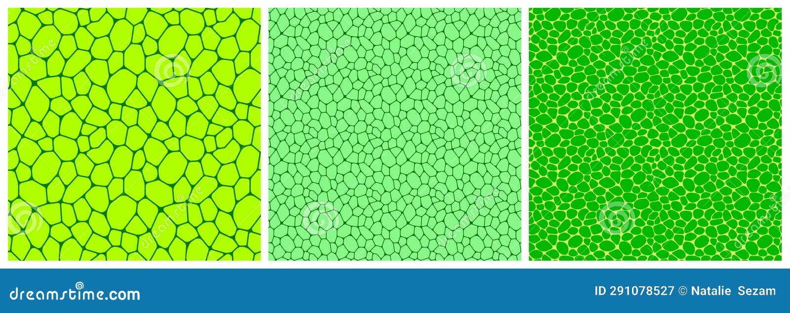 Green Cells Seamless Pattern Set. Leaf Structure Vector Illustration ...