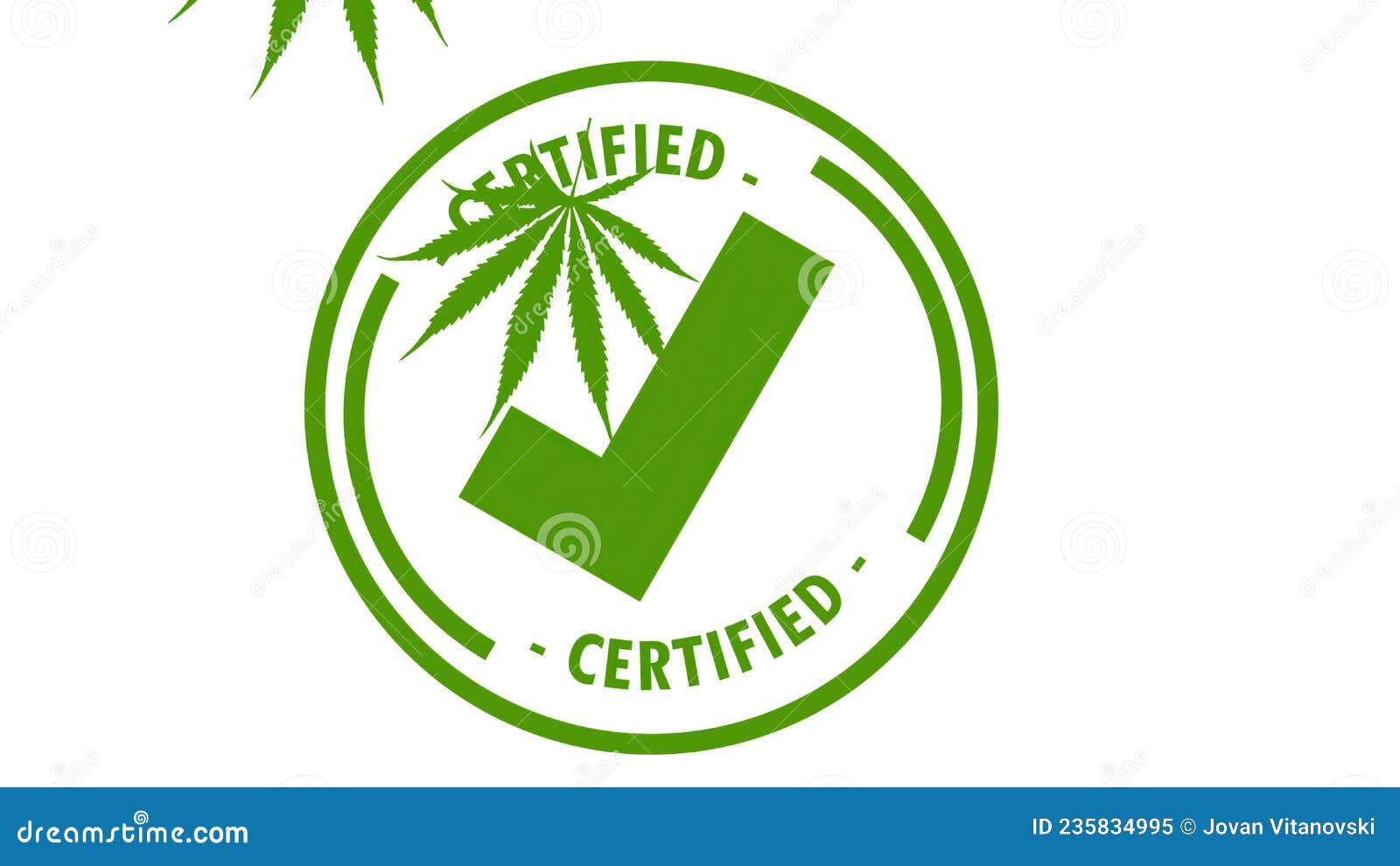 Green Check Mark Icon and Marijuana Leafs Stock Illustration ...