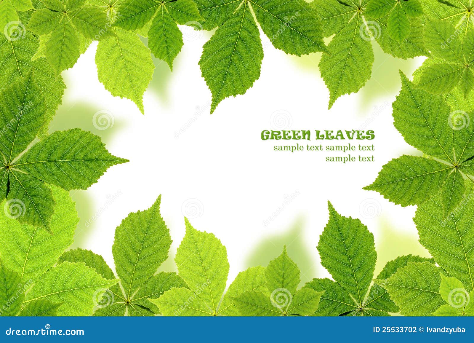 Green Chestnut Leaves Border Stock Photo | CartoonDealer.com #25533702