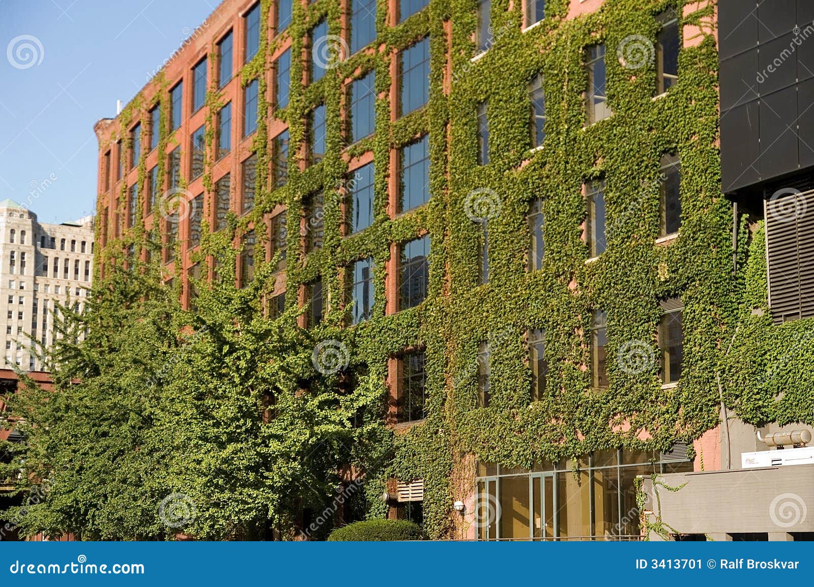 Green Chicago stock image. Image of downtown, window, structure - 3413701