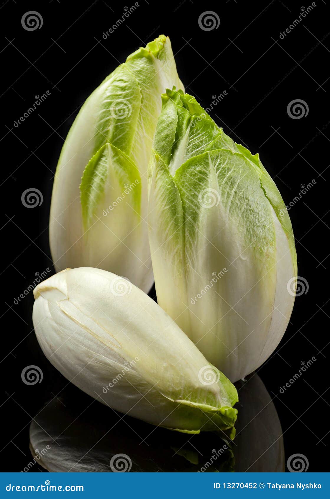 Chicory Vegetable
