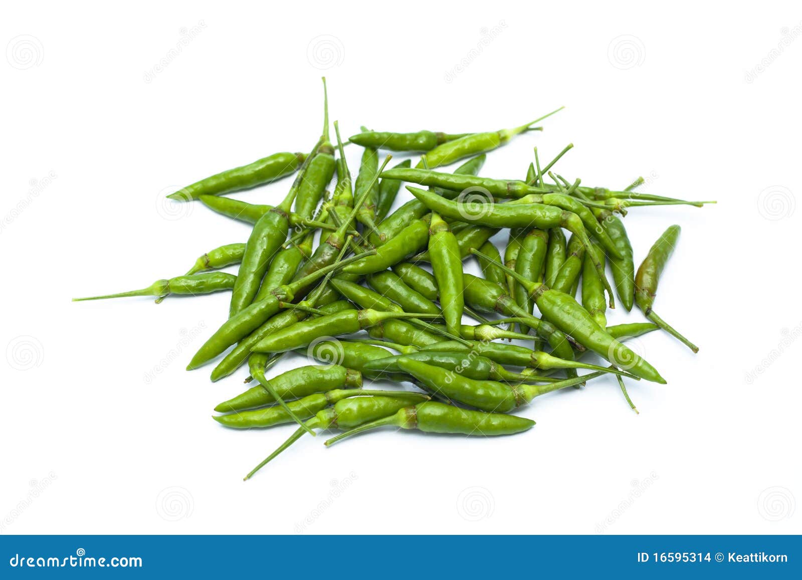 Green Chili Fingers On White Background Stock Photography ...