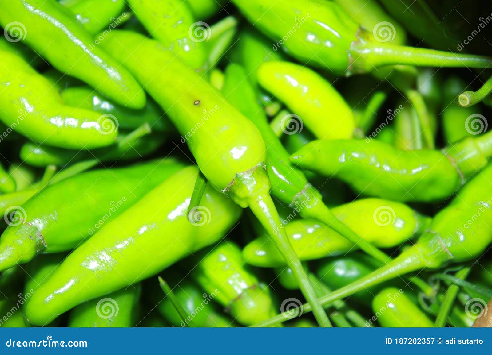 Green Chili from Indonesia Caled Rawit Stock Image - Image of caled ...
