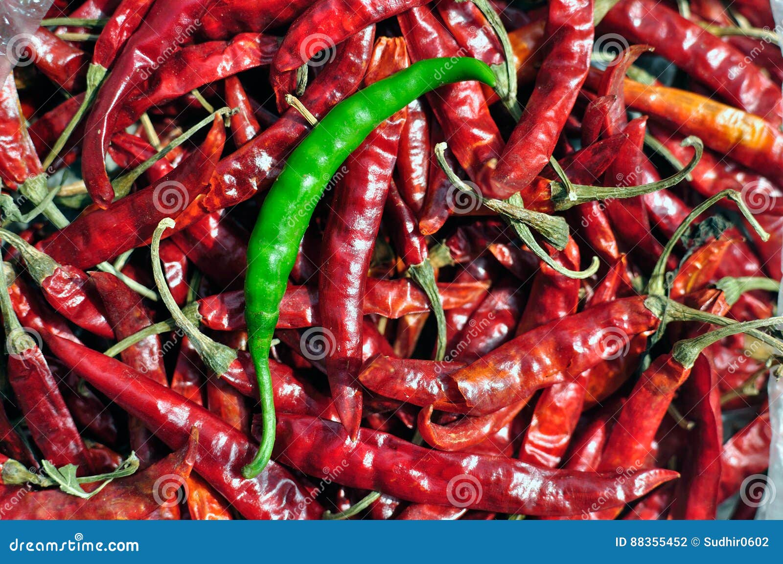 Green Chill on Red Chilly Background Stock Photo - Image of colorful ...