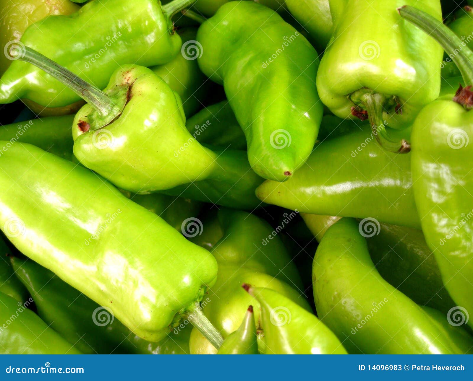 Green chilli stock image. Image of tasty, fire, pain - 14096983