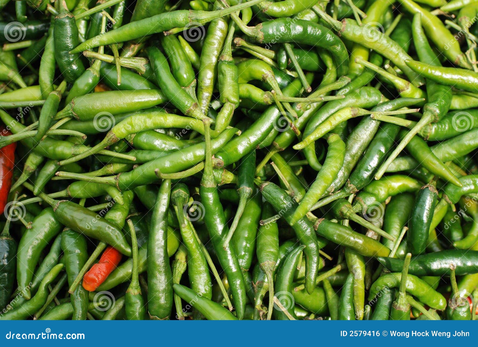 Green chilli stock photo. Image of nature, farm, bean - 2579416