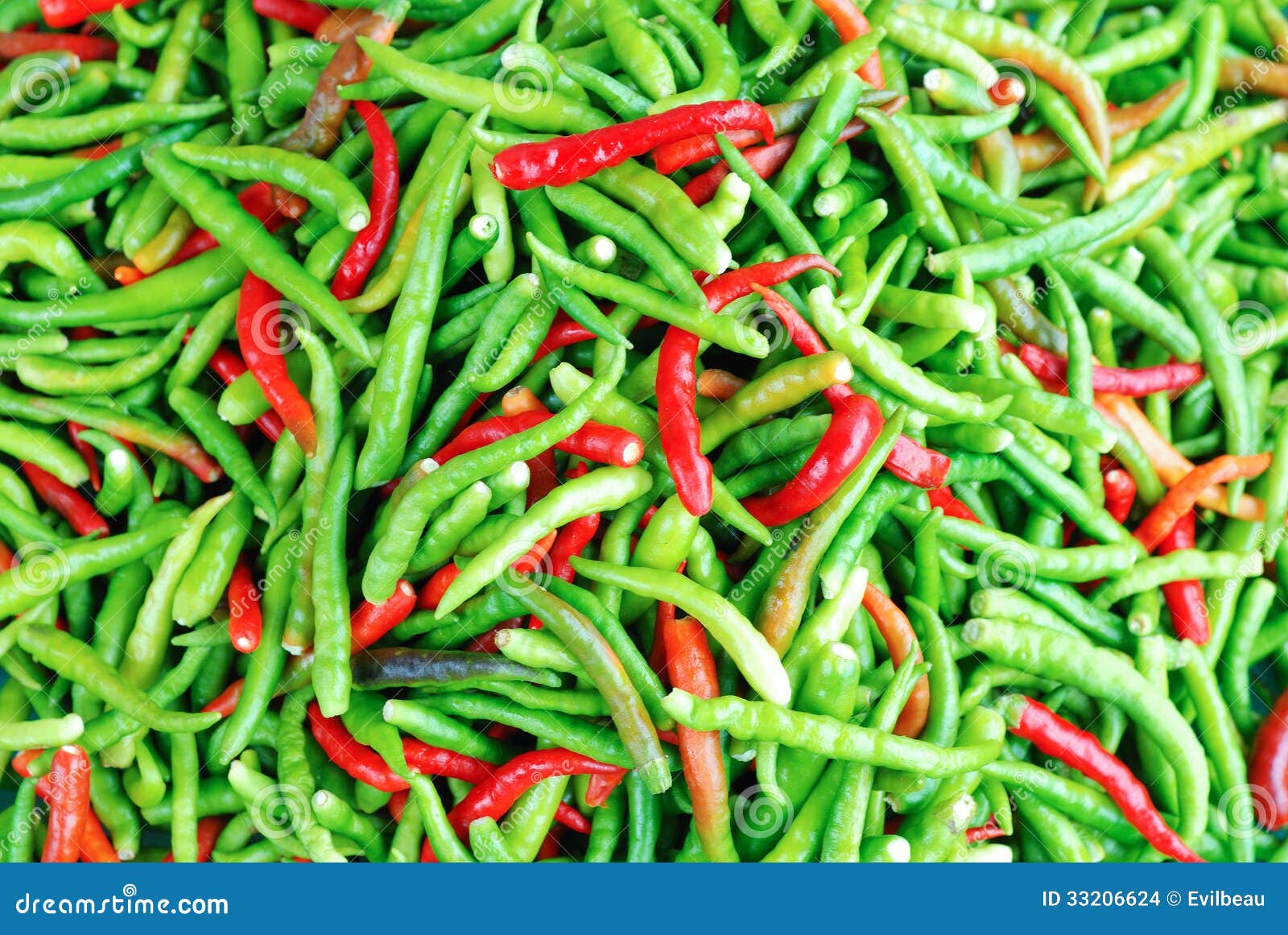 Green chilli stock photo. Image of freshness, market - 33206624