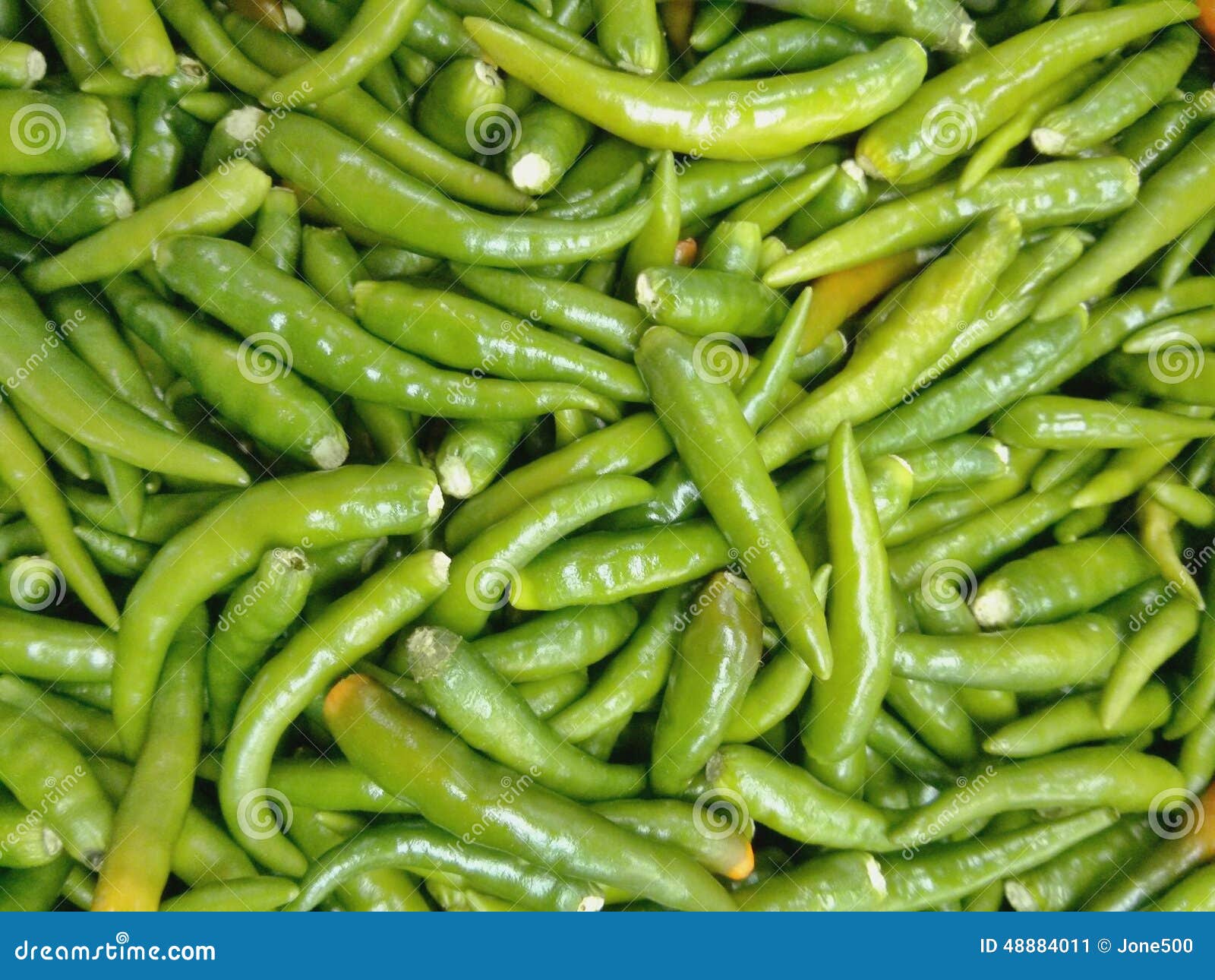 Green chilli stock image. Image of food, green, fresh - 48884011