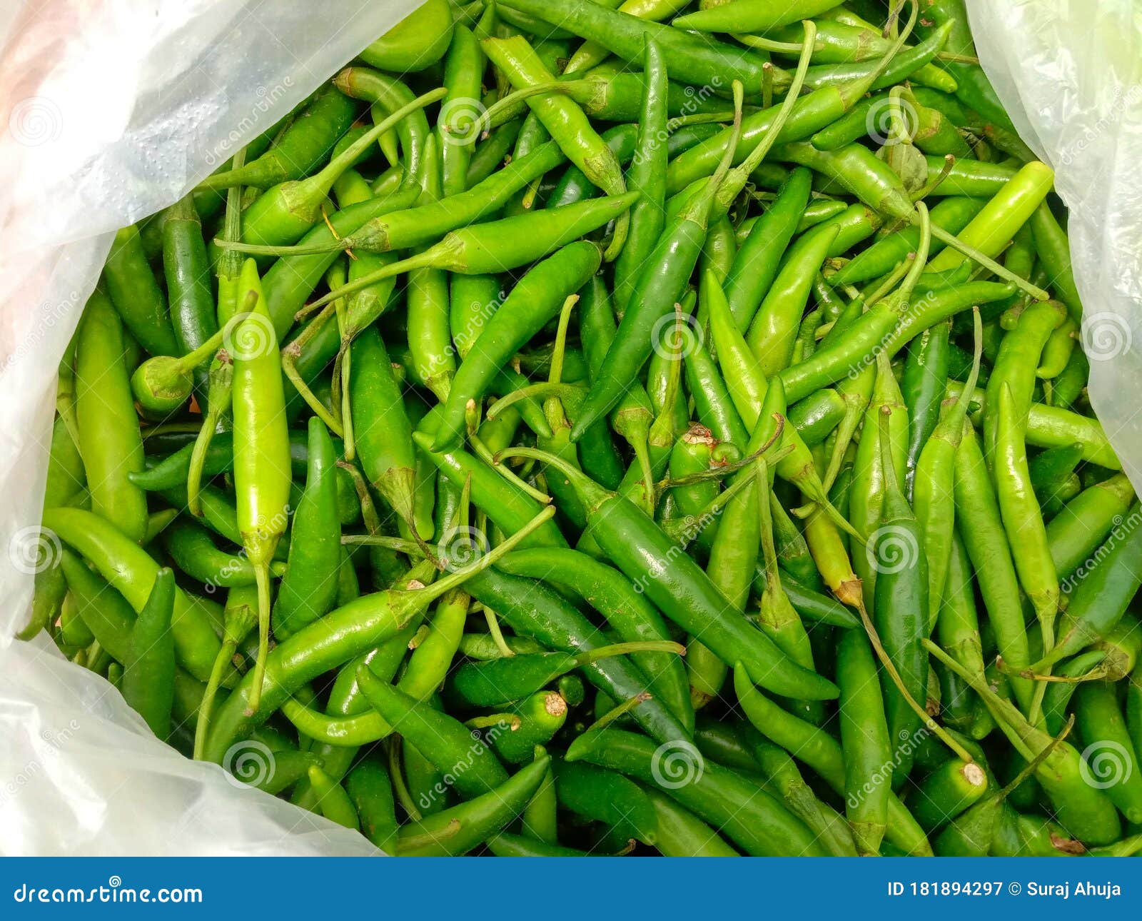 This is Green Chilli Image.this Very Spicy Vegitable Stock Image ...