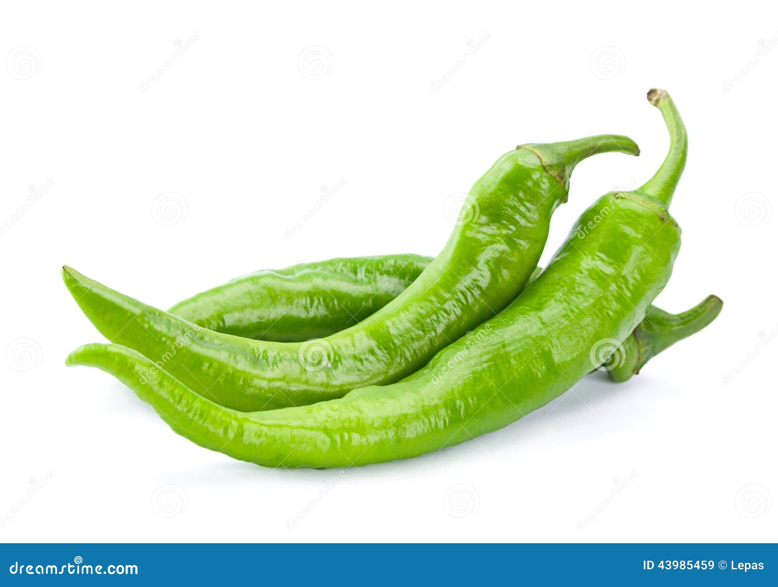 Green chilli pepper stock image. Image of spicy, chile - 43985459