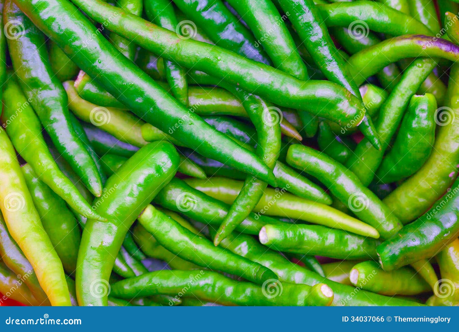 Green Chilli Peppers stock photo. Image of tomato, healthy - 34037066