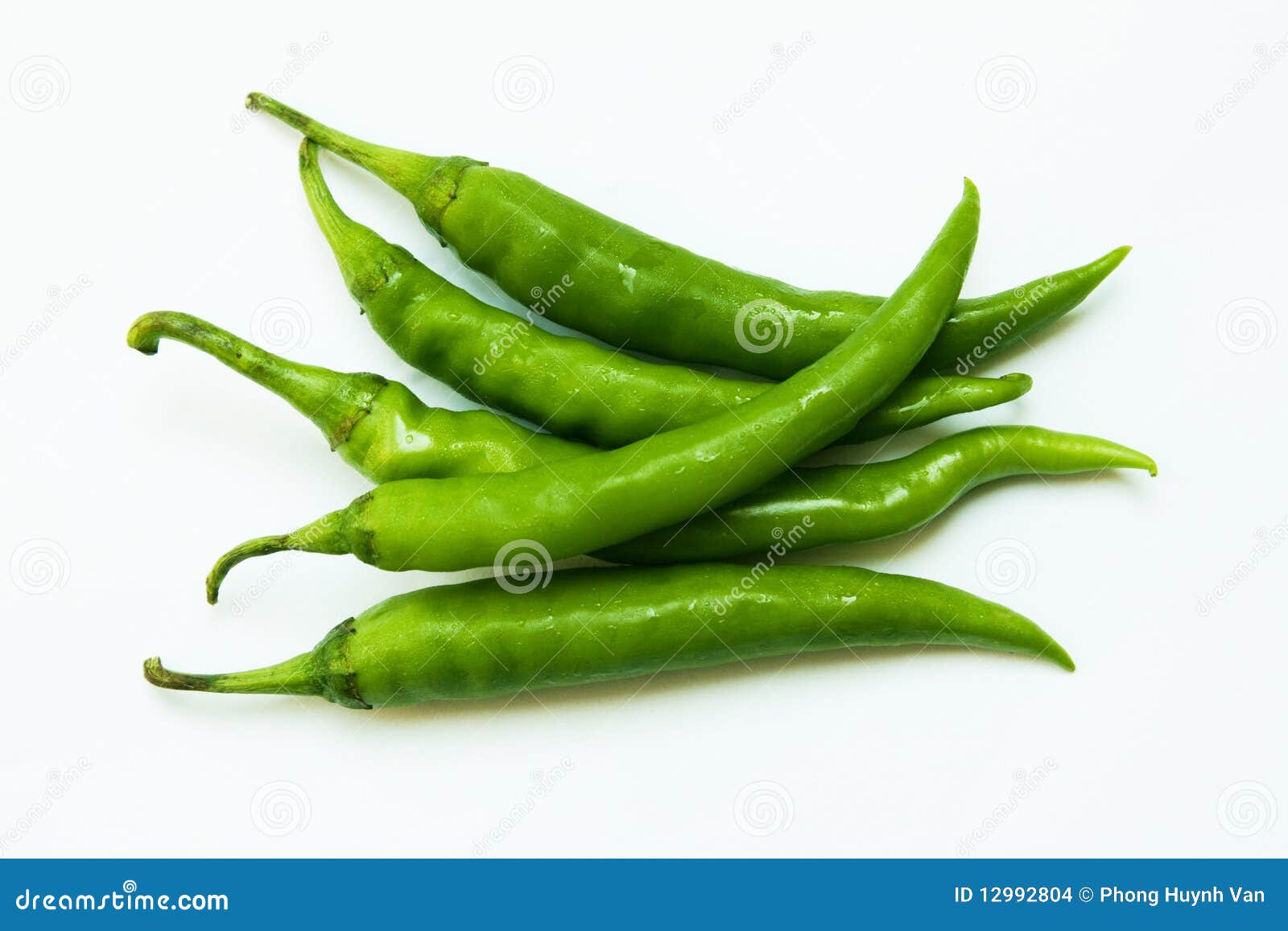 Green chillies stock photo. Image of fresh, lots, detail - 12992804