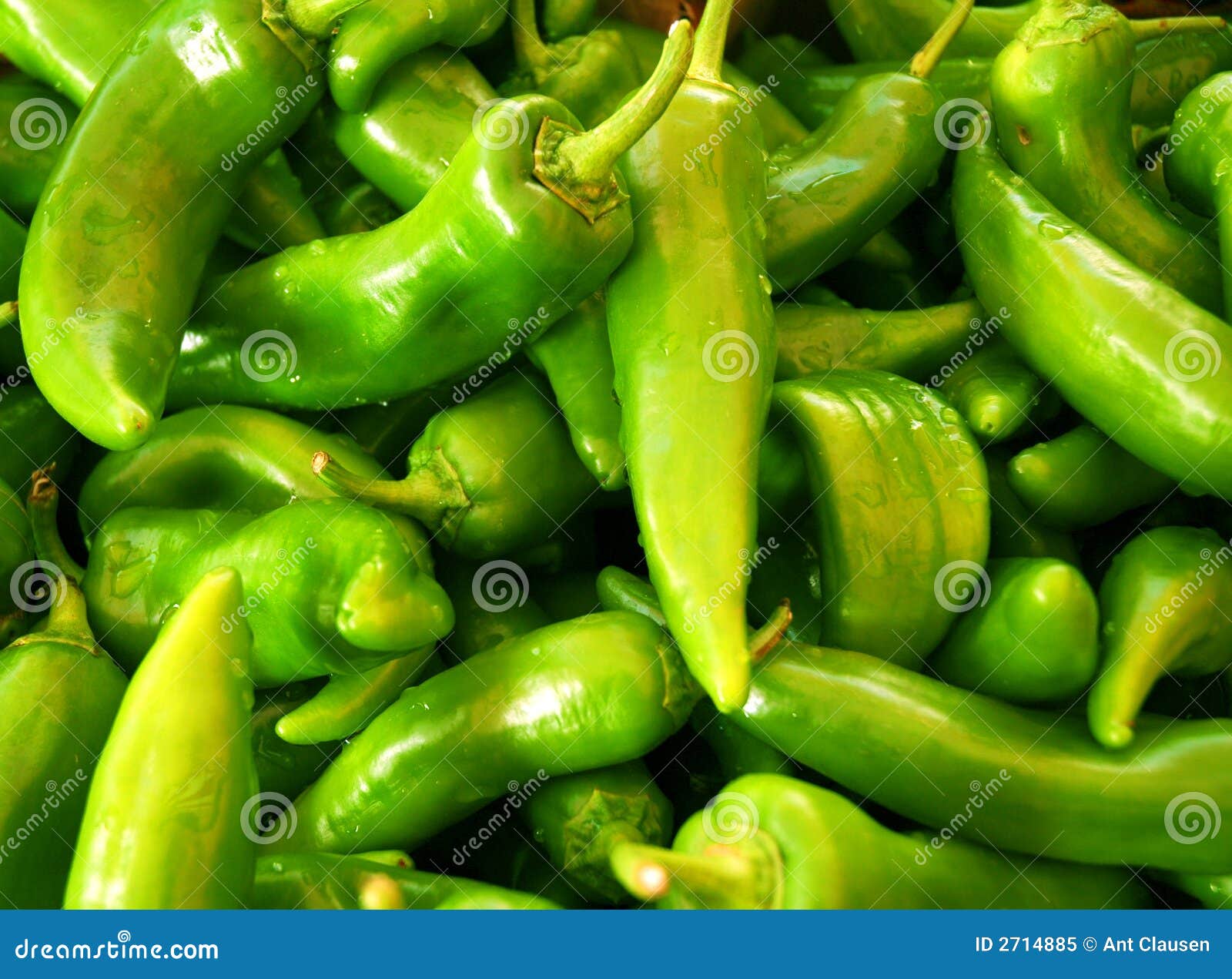 Green chillies stock image. Image of macro, ingredients - 2714885