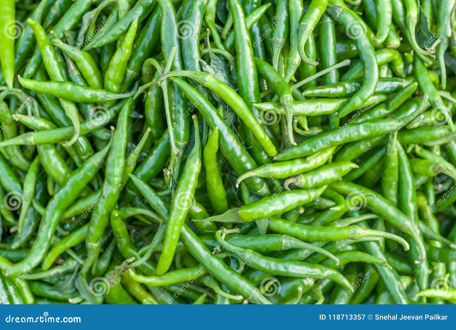 Green chillies stock image. Image of beautiful, harvest - 118713357