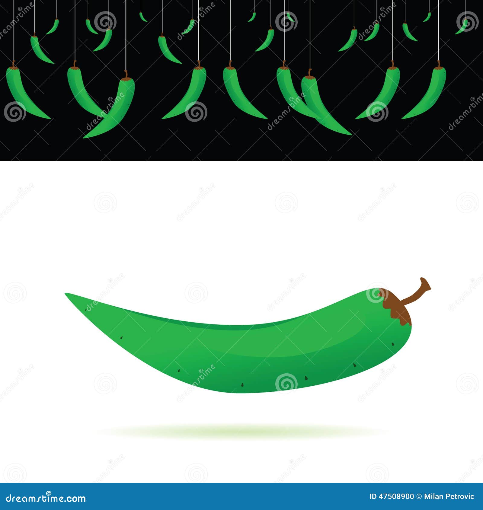 Green Chillies Vector Illustration Stock Vector - Illustration of ...