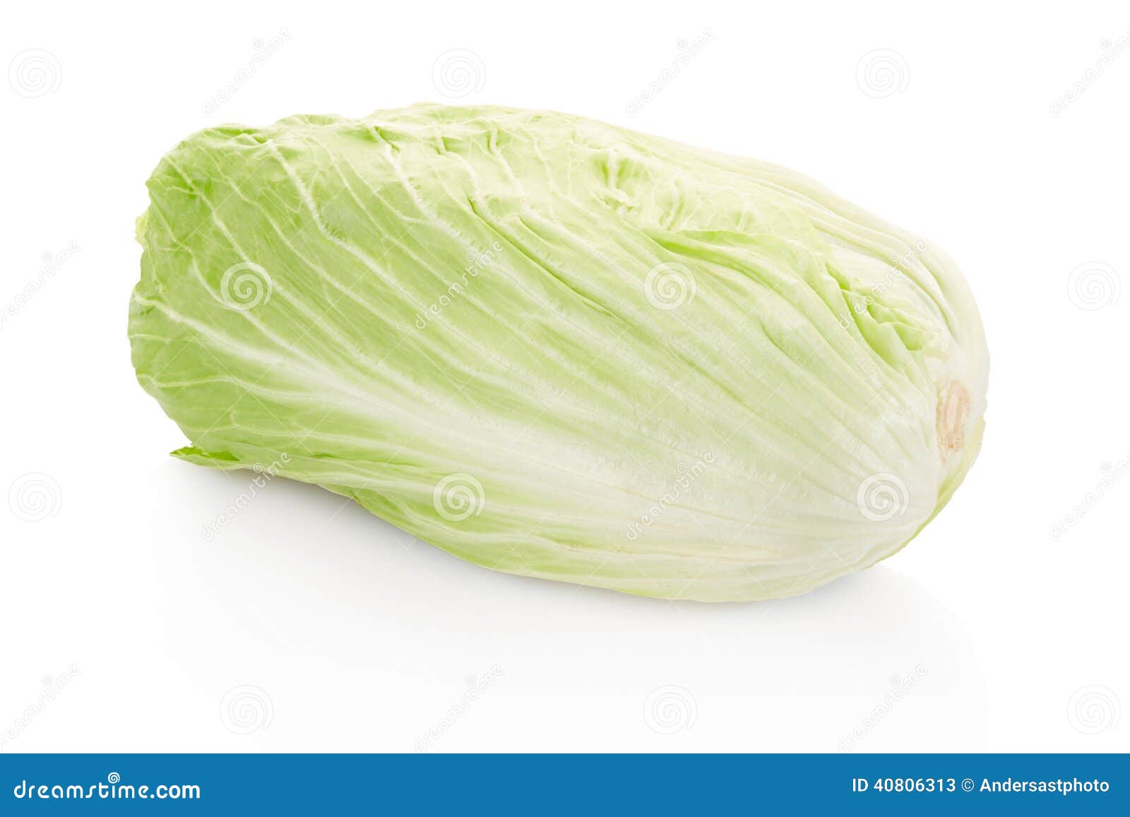 Green chinese long cabbage stock image. Image of plant - 40806313