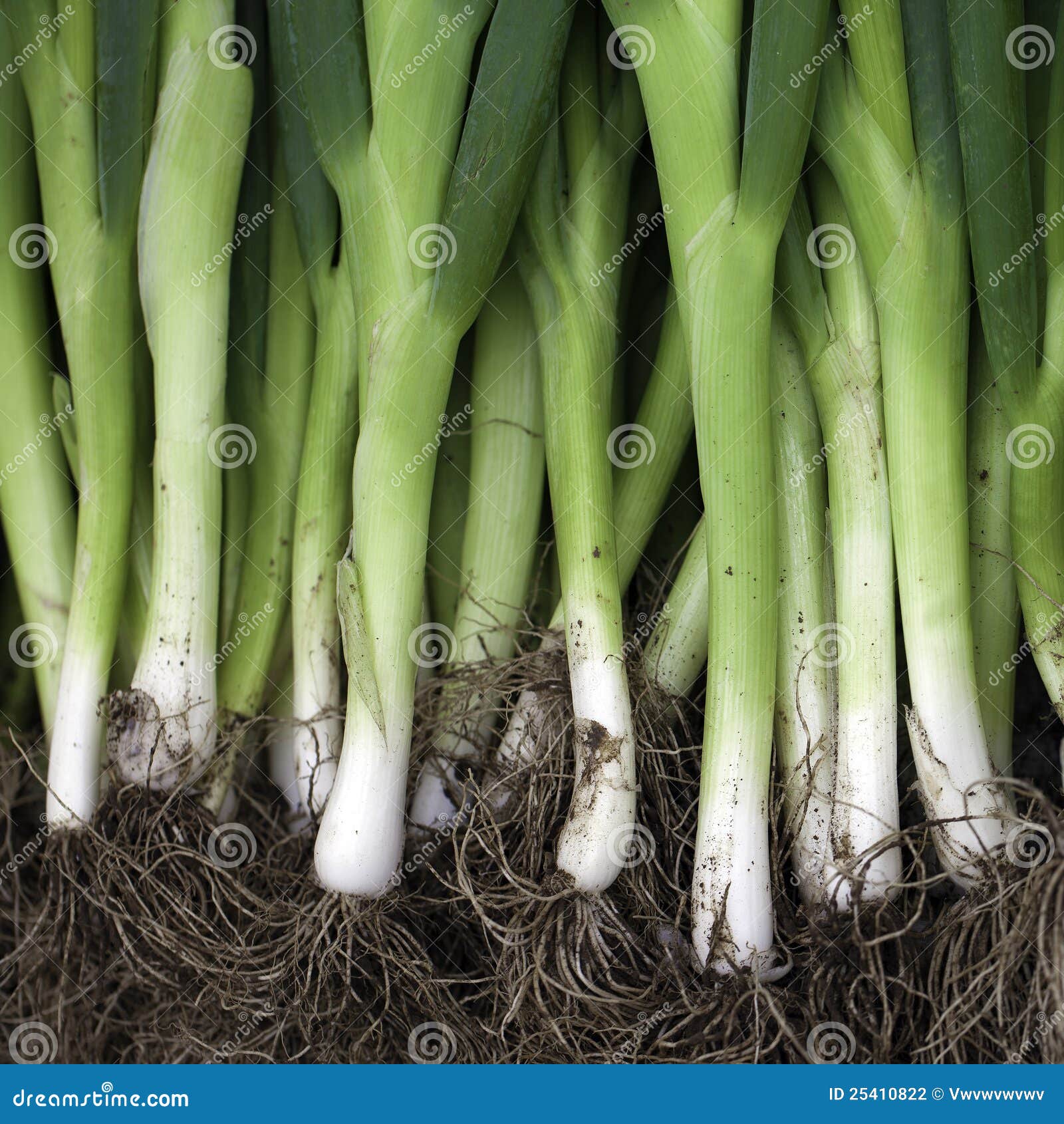 Green Chinese Tea Set Stock Photo | CartoonDealer.com #14257716