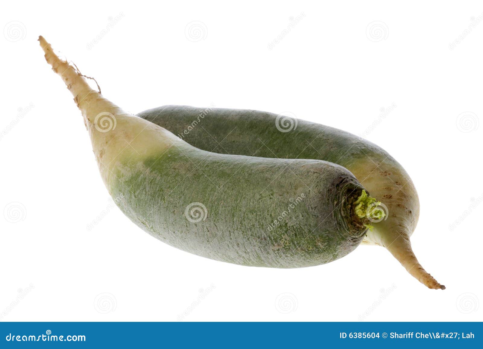 Green Chinese Radish Isolated Stock Photo - Image of diet, ingredients ...