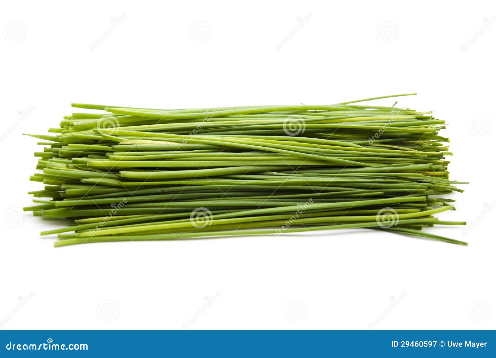 Green chives stock image. Image of stem, harvested, stalk - 29460597