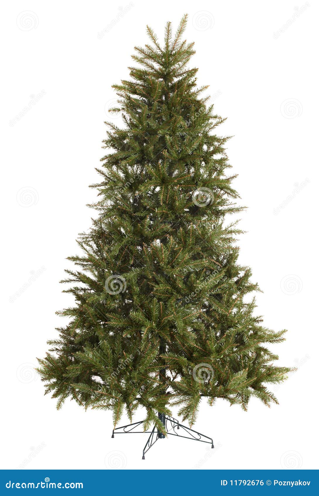Green Christmas Fir Tree without Decoration. Stock Photo - Image of ...