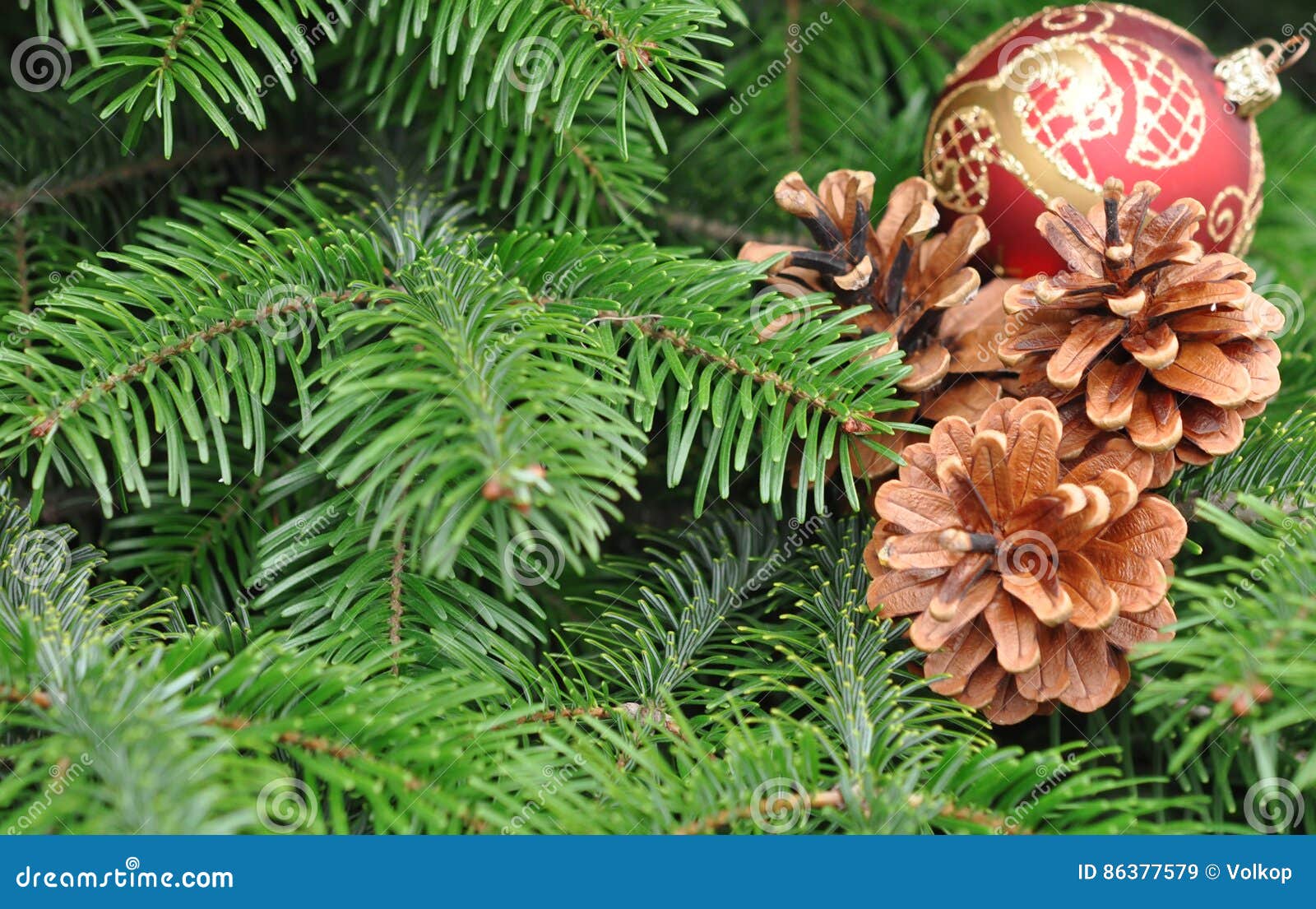 Green Christmas Tree with Red Ball and Pine Cone Stock Image - Image of ...