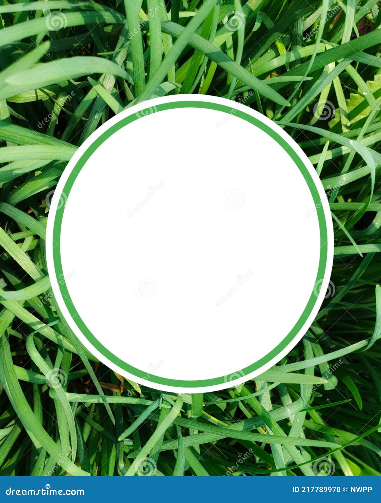 The green circle frame stock illustration. Illustration of wheel ...