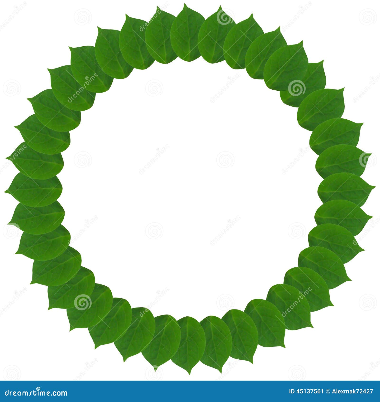 Green Circle from Leaves Isolated on White Stock Image - Image of ...