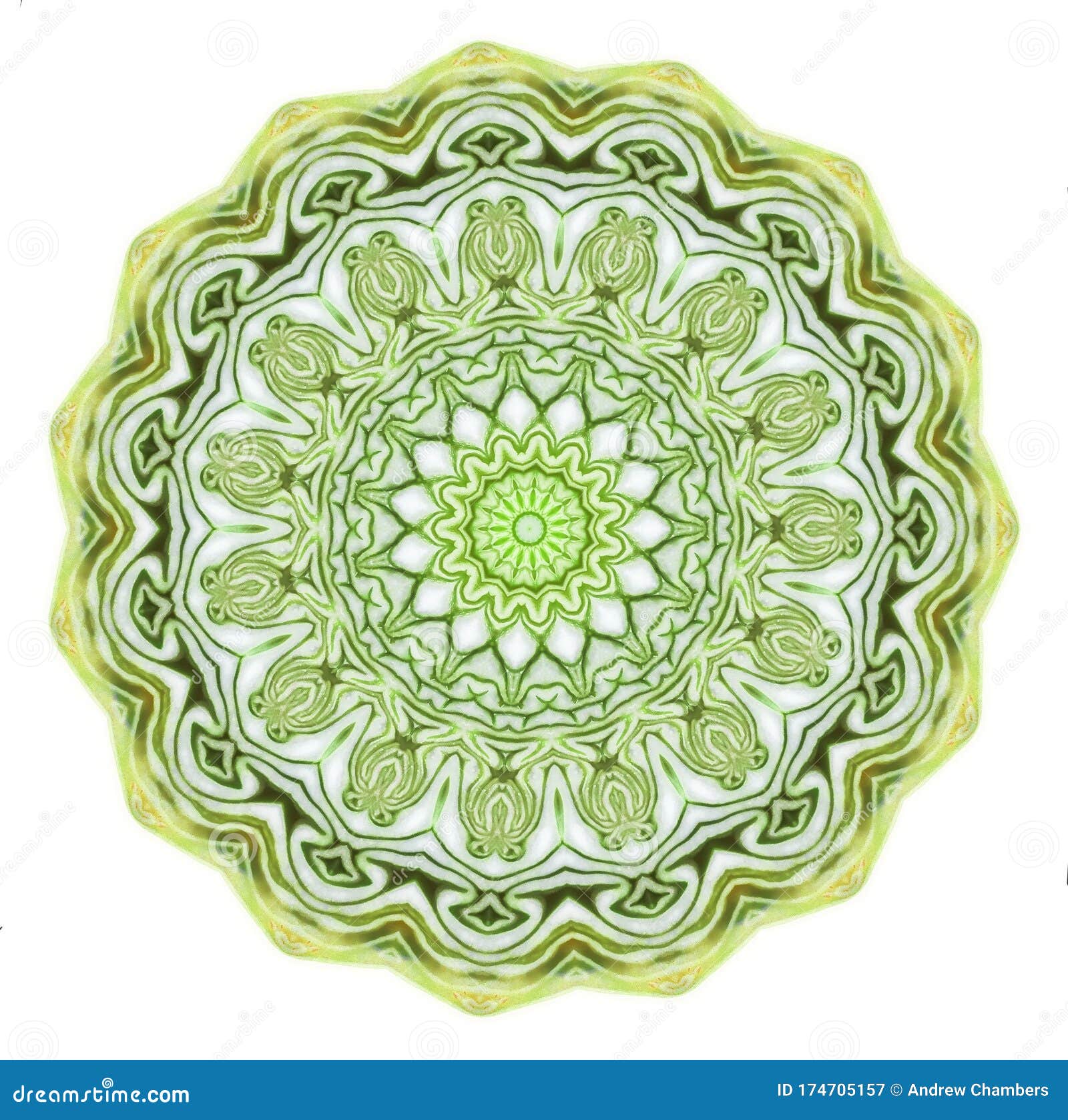 Green circular pattern stock image. Image of white, organic - 174705157