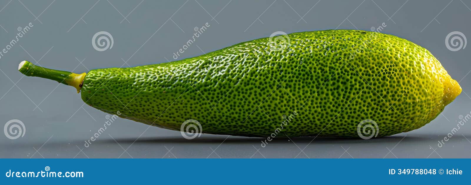 Green Citrus Fruit with Bumpy Texture - Photo Stock Illustration ...