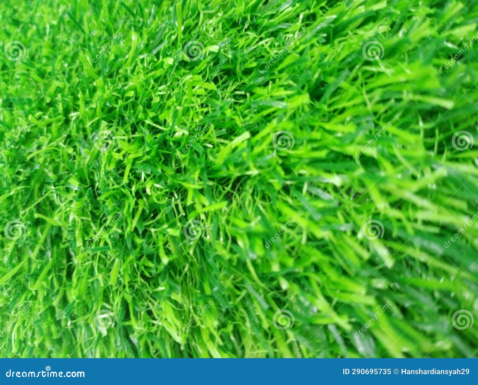 Green and Clean Grass Looks Beautiful Stock Image - Image of green ...