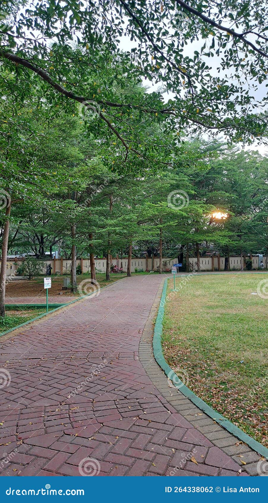 Green and Clean Jogging are, Walking Area Stock Photo - Image of green ...
