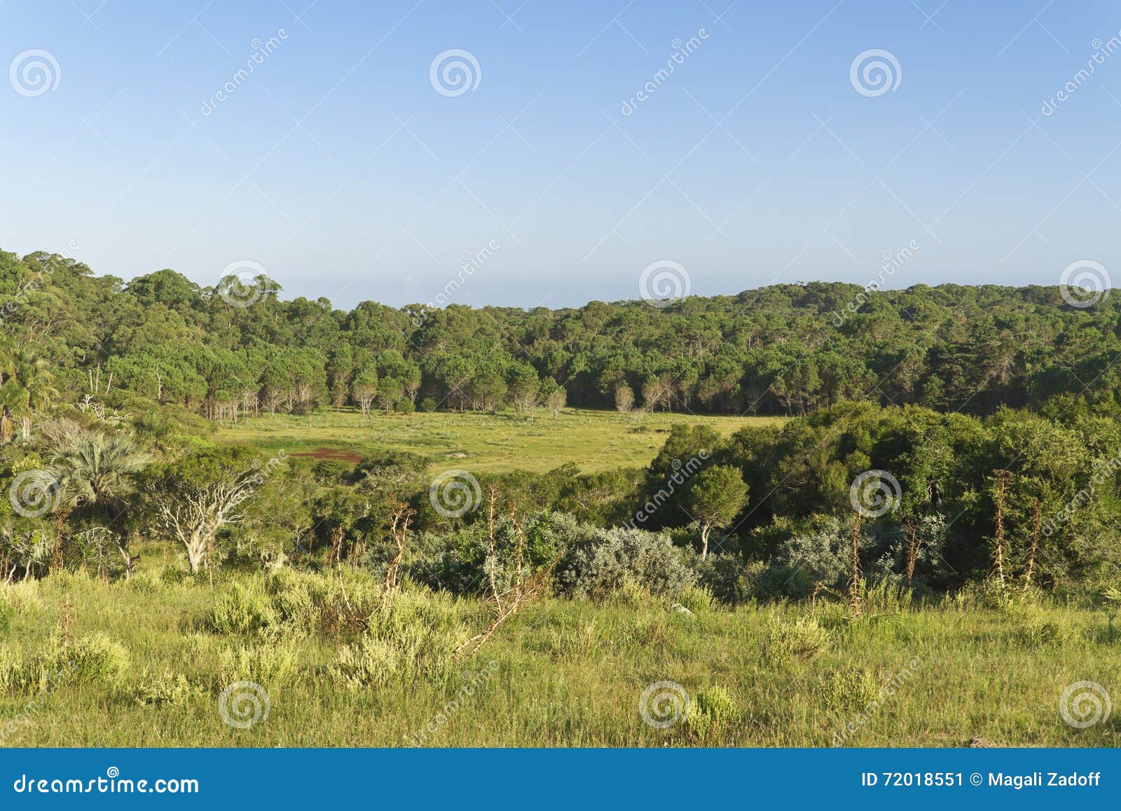 Green clean landscape. stock image. Image of open, panoramic - 72018551