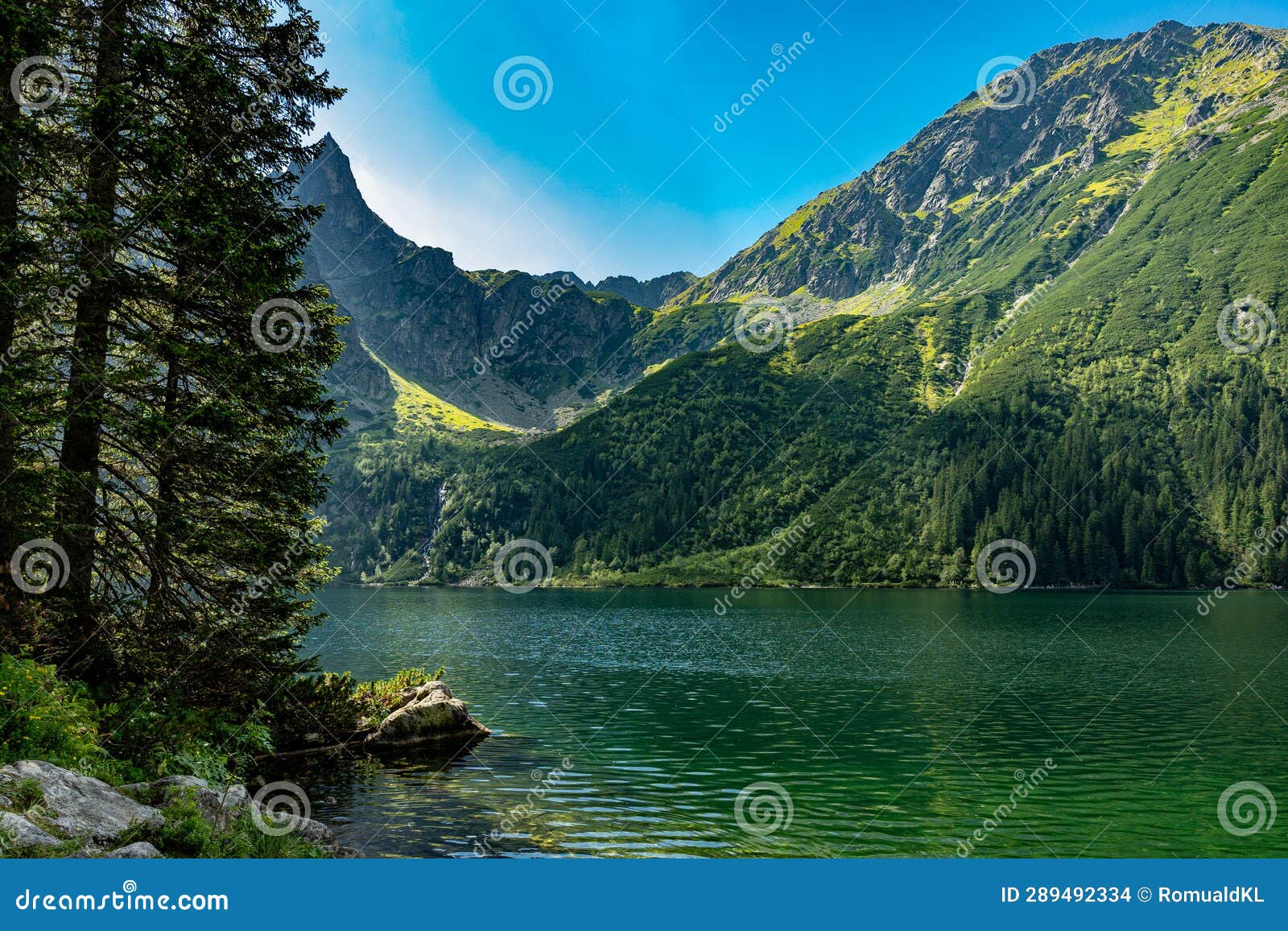 Green Clear Lake with Rocks and Trees in the Mountains Stock Photo ...