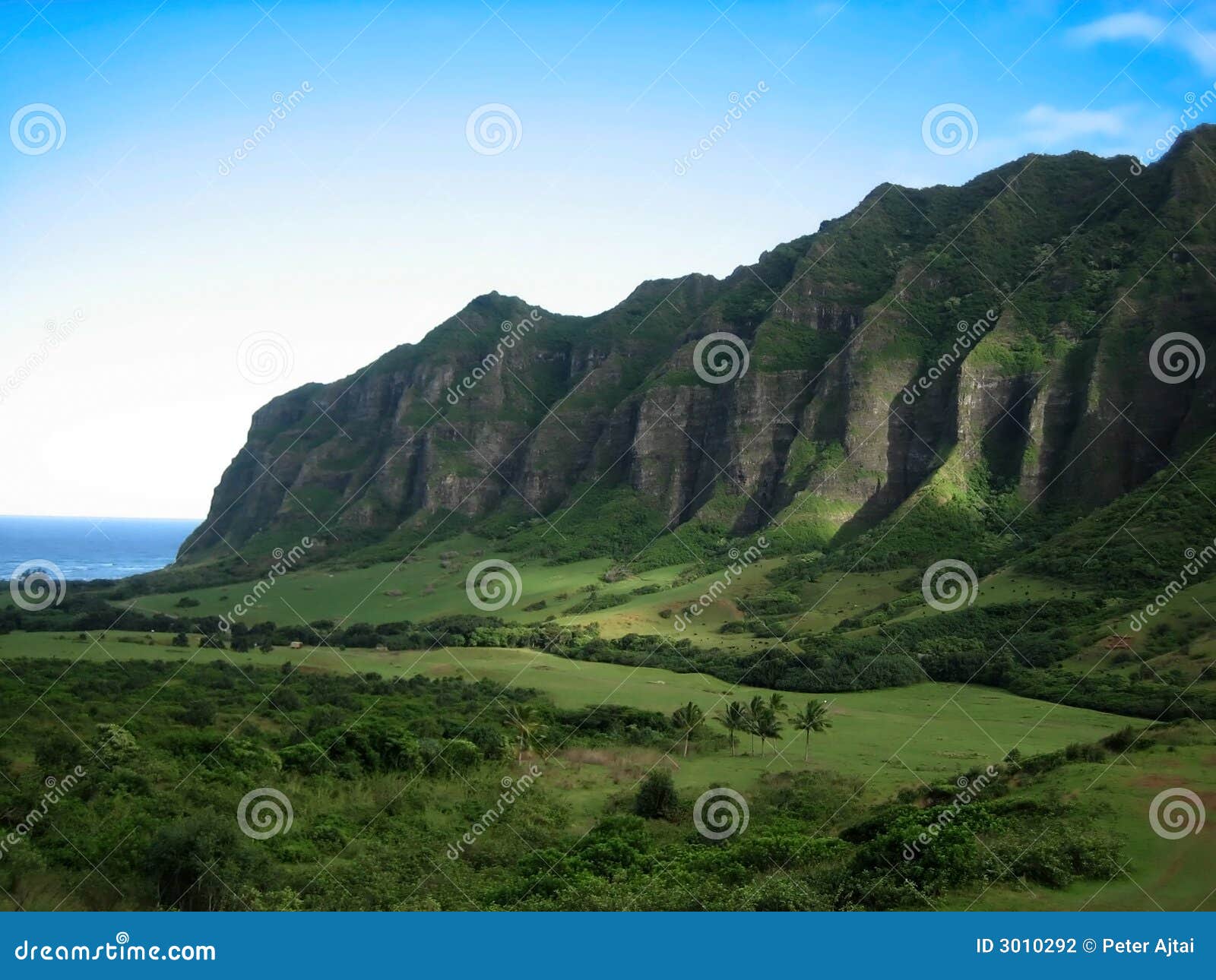 Green cliffs of Hawaii stock photo. Image of lookout, view - 3010292