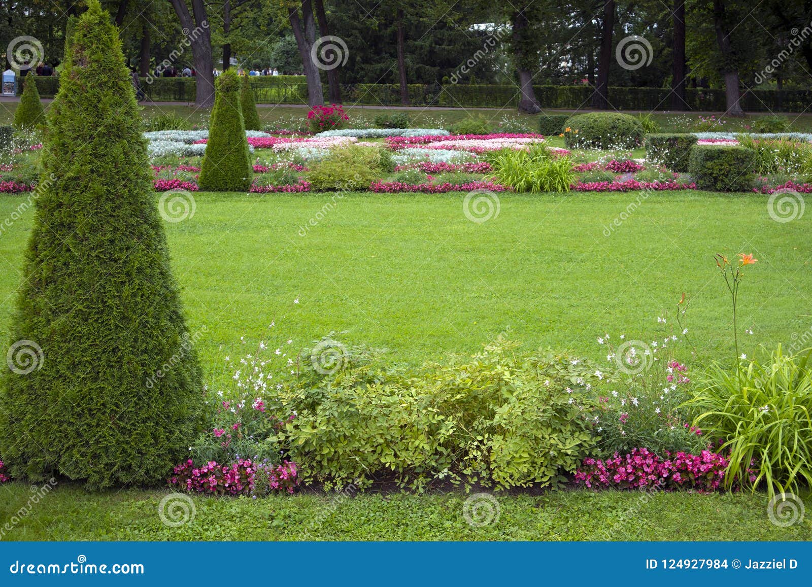 Green Clipped Manicured Lawn with Pyramidal Bush Stock Photo - Image of ...