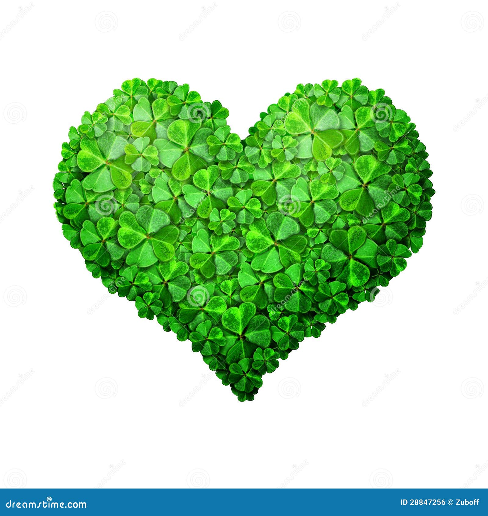 Green Clove Heart stock photo. Image of three, hope, gift - 28847256