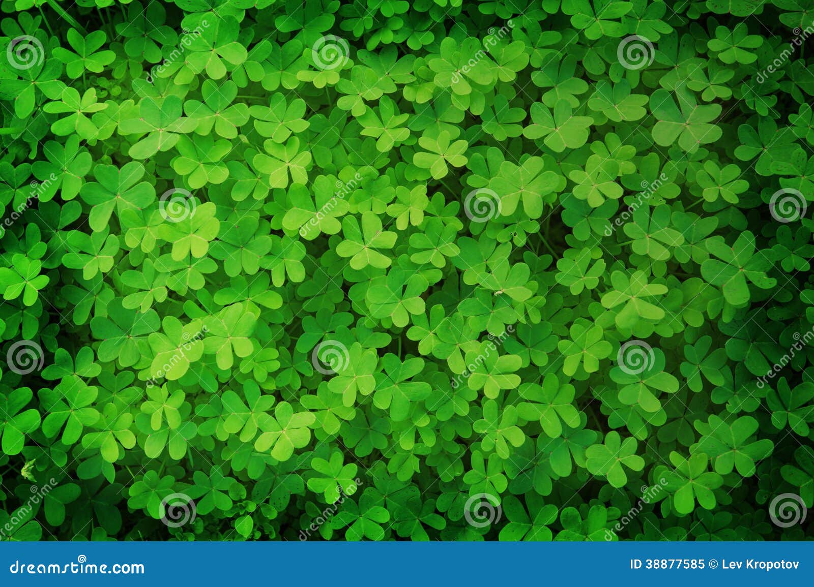 Green clover background stock image. Image of irish, vintage - 38877585