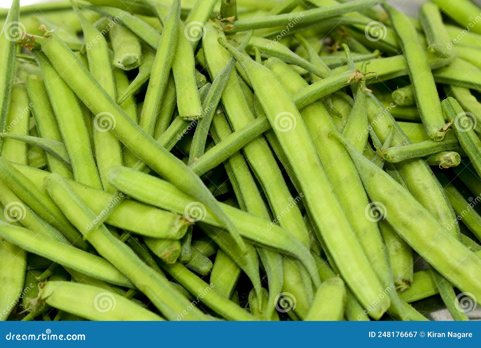 Green cluster, guvar beans stock image. Image of beans - 248176667